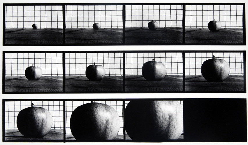 ¿Por qué hay poemas y no más bien nada? | tr3sreinos